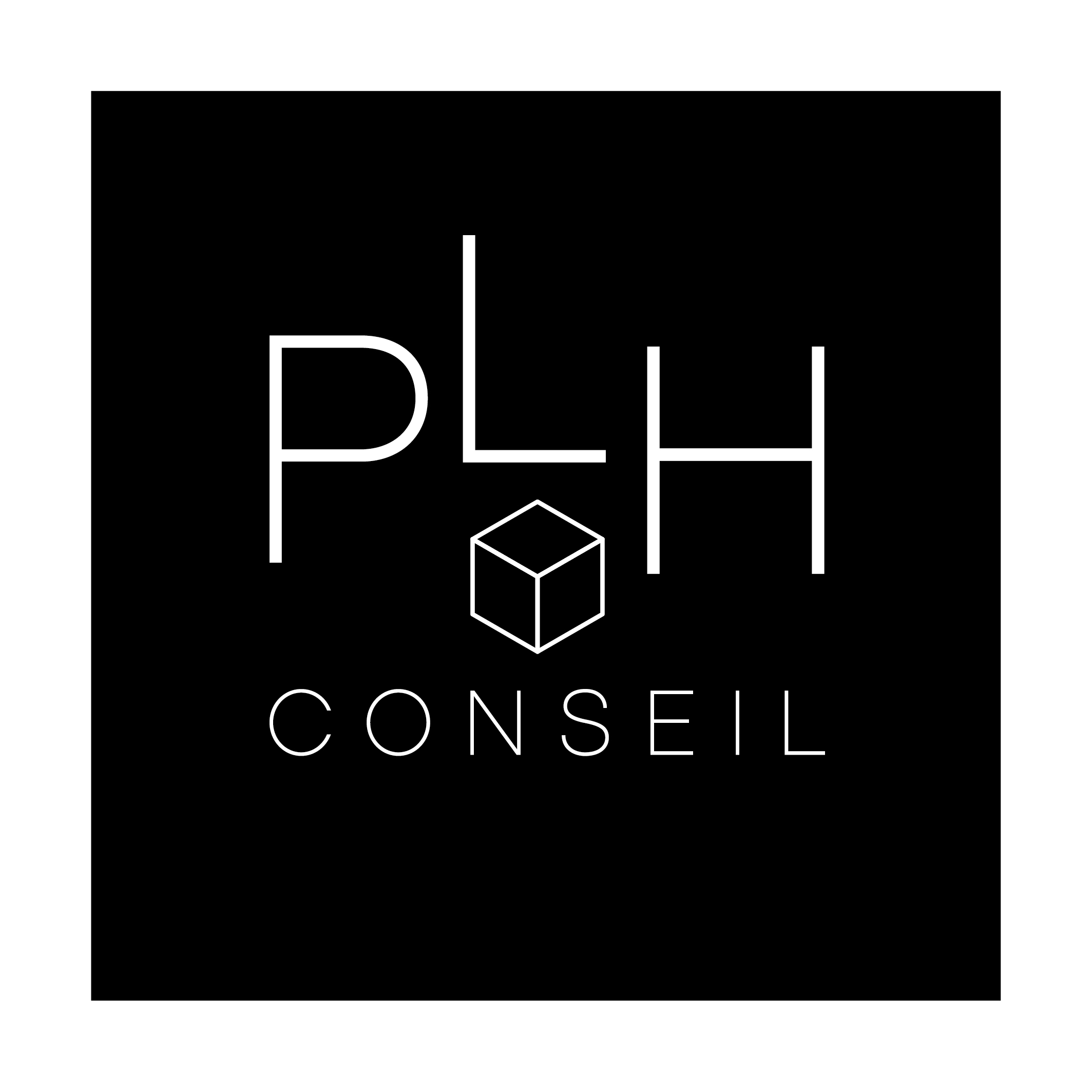 Conseil, Promotion immobilière et Réhabilitation Urbaine - PLH Conseil